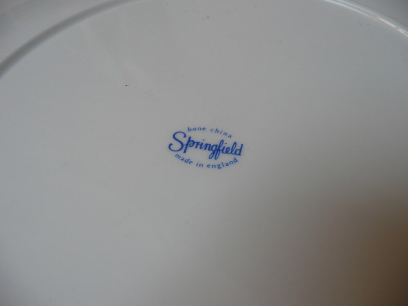 Vintage English Bone China Plate by Springfield Featuring - Etsy