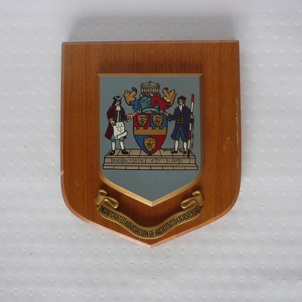 Painted Coat of Arms Shield - Etsy Ireland