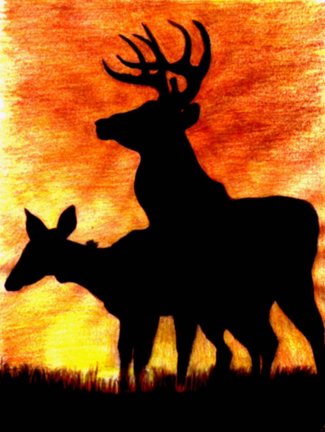 Print of Colored Pencil Drawing of a Buck and Doe Deer Against a Sunset ...