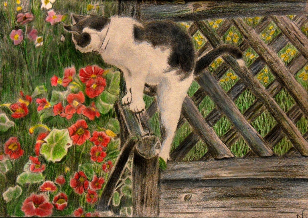 Print of Colored Pencil Drawing: "cat in a Summer Garden". - Etsy