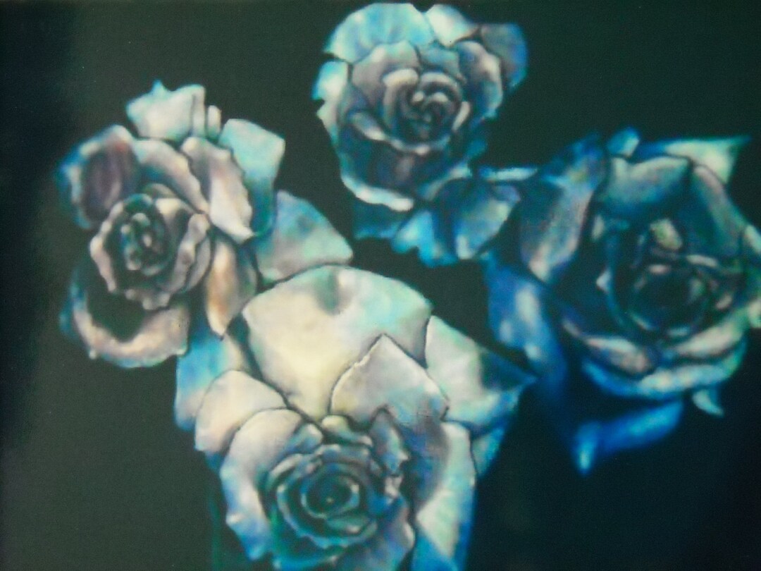 Midnight Roses Colored Pencil Print - Etsy
