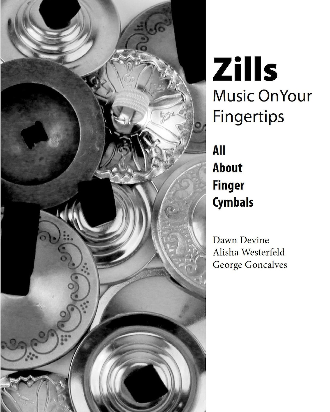 ZILLS: Music on Your Fingertips - 133pg E-book About the Construction ...
