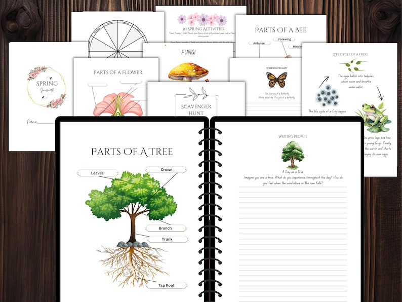 Spring Nature Study Unit | Charlotte Mason Homeschool Spring Nature ...