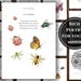 Spring Nature Journal for Pre-k, Kindergarten, and 1st Grade ...