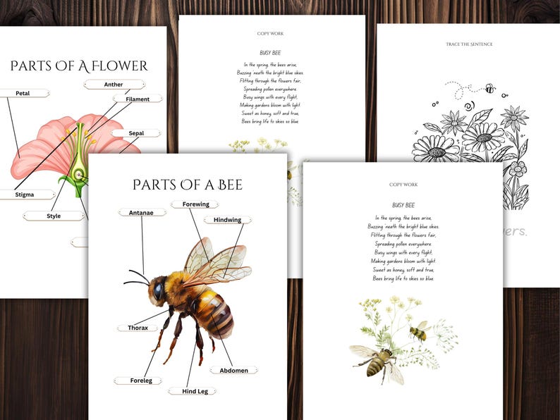 Spring Nature Study Unit | Charlotte Mason Homeschool Spring Nature ...