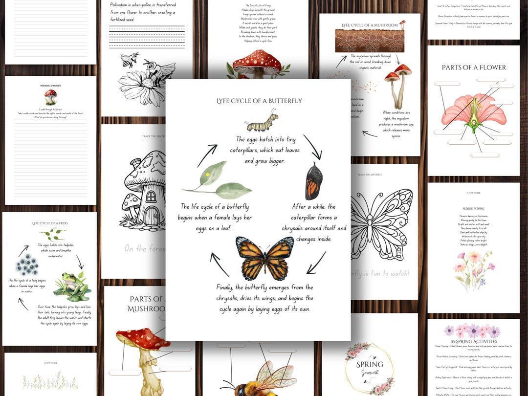 Nature Study Unit | Charlotte Mason Homeschool Spring Nature Journal ...