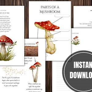 Nature Study Unit | Charlotte Mason Homeschool Spring Nature Journal ...