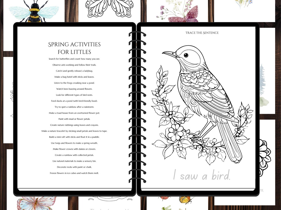 Spring Nature Journal for Pre-k, Kindergarten, and 1st Grade ...