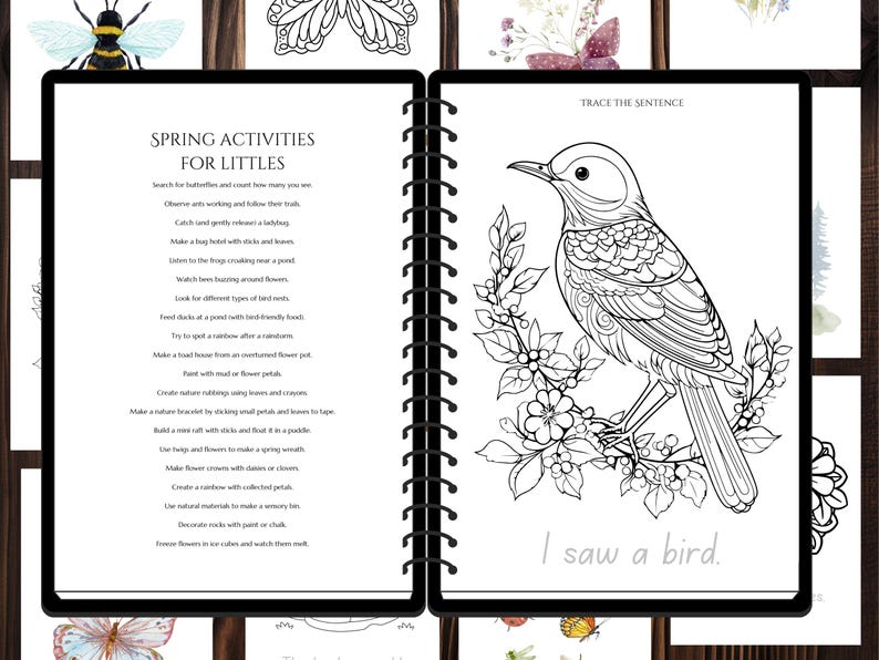 Spring Nature Journal for Pre-k, Kindergarten, and 1st Grade ...