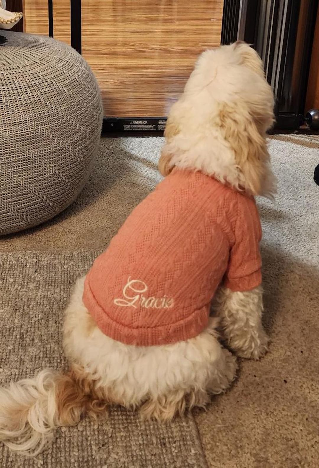 Personalized Dog Sweater Embroidered Puppy Shirt With Pet Name Xs ...