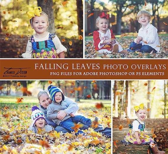 Photography Falling Leaves Overlays Fall Photo Overlays | Etsy