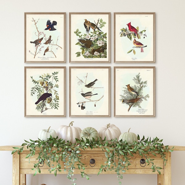 Winter Birds - Etsy