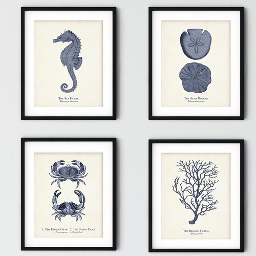 Nautical Art Print Navy Blue Art Sea Coral Art Print Set of 6 | Etsy