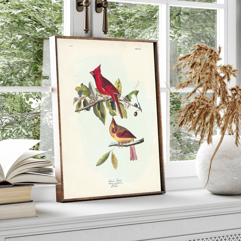 Cardinal Print - Etsy