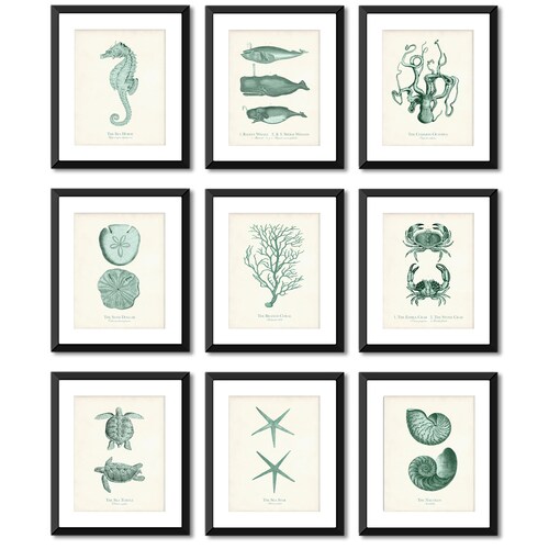 Nautical Print Set of 4 in Navy Blue Coastal Wall Art Coral - Etsy