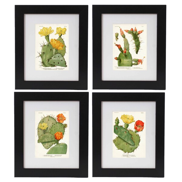 Cactus Poster - Etsy