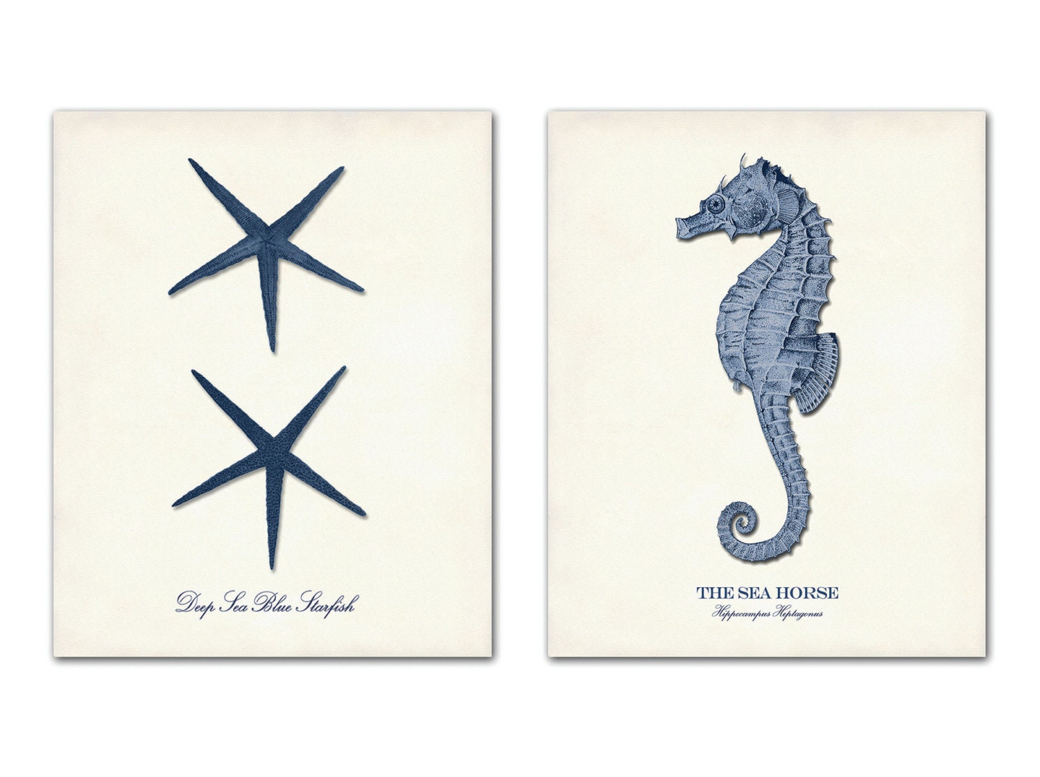 Nautical Art Print Set of 2 Navy Blue Coastal Art Posters | Etsy