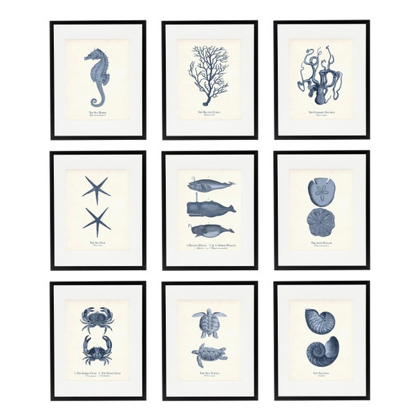 Nautical Decor Beach - Etsy