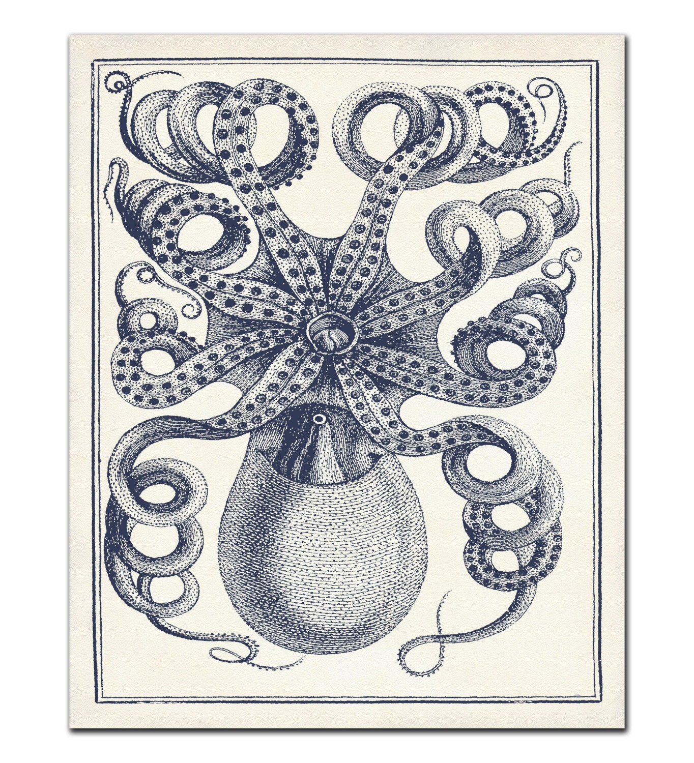 Octopus Print Set of 4 in Marine Blue Octopus Art Beach | Etsy