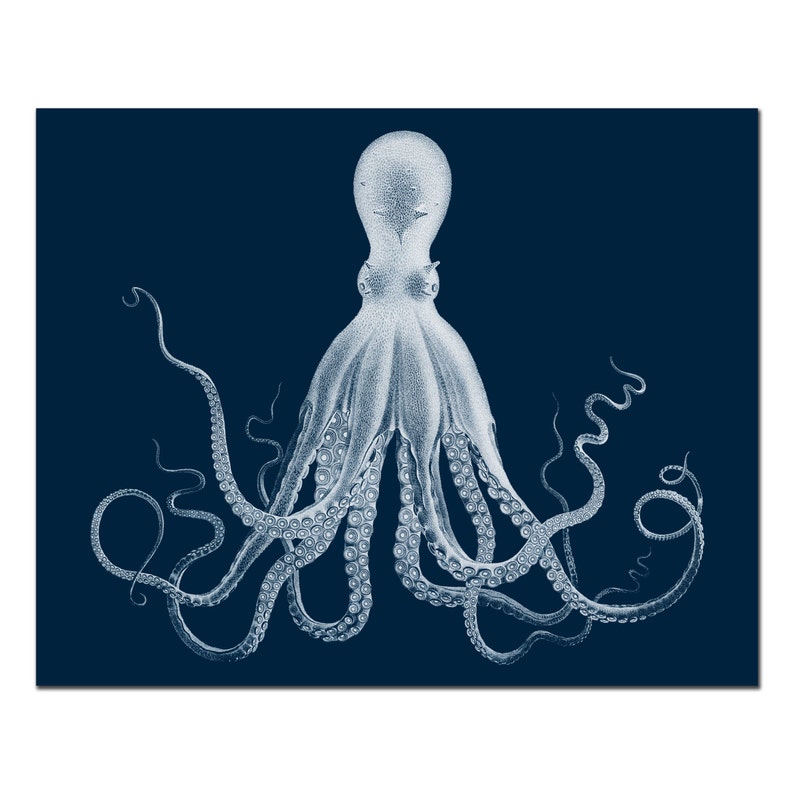 Navy Blue Octopus Print Octopus Art Nautical Wall Decor - Etsy