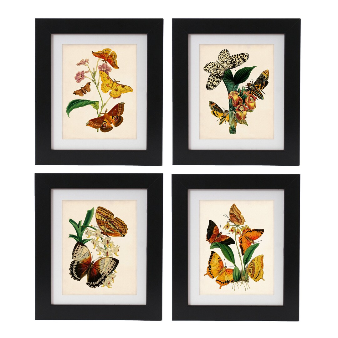 Butterfly Print Set, Butterflies Botanical Art, Butterfly Wall Art ...