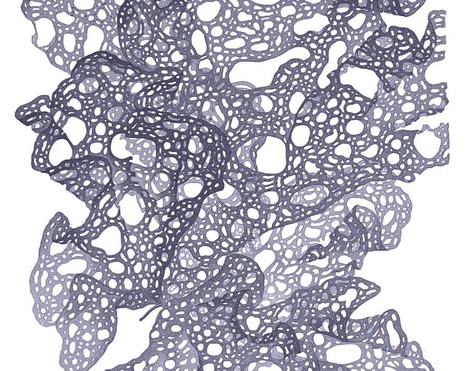 Sea Algae Print in Caviar Gray, Sea Life, Minimalist, Algae ...