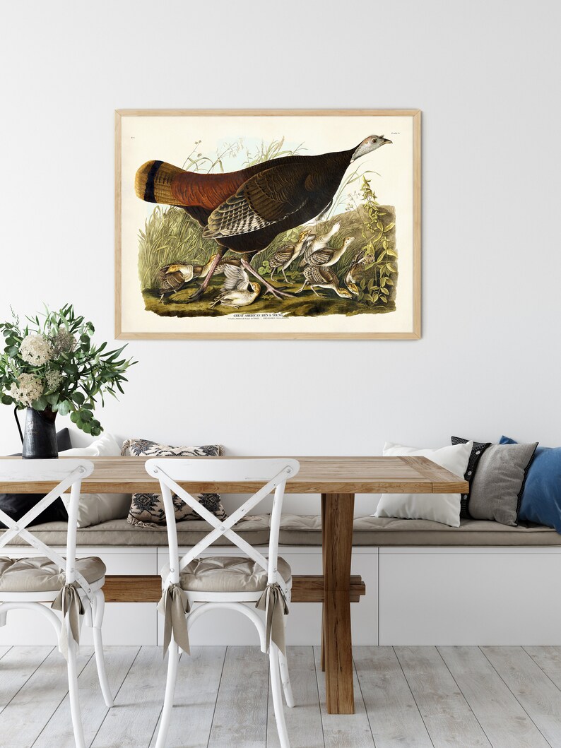 Audubon Wild Turkey Print, Vintage Birds of America Art - Etsy