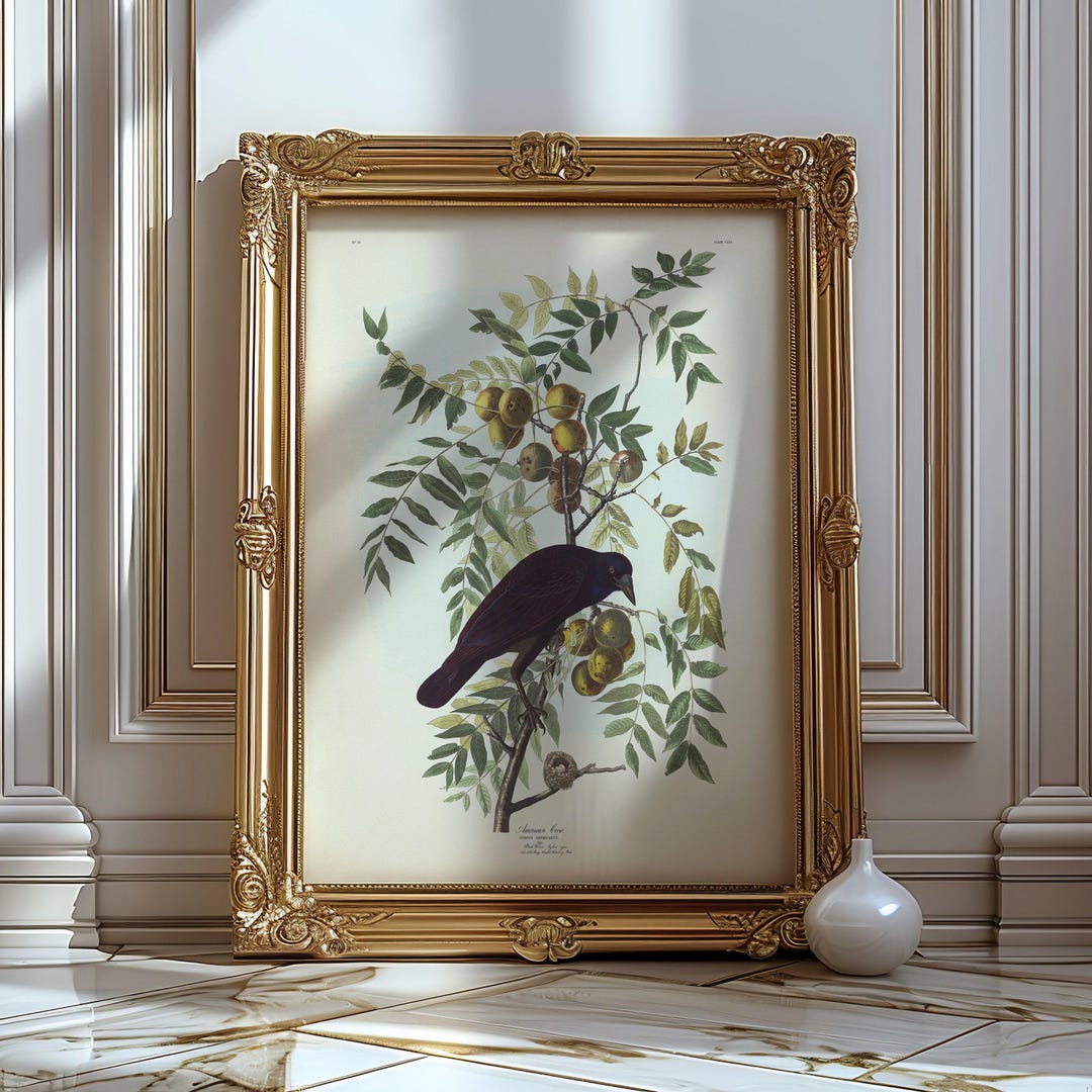 Audubon American Crow Print: Vintage Bird Illustration, Natural History ...