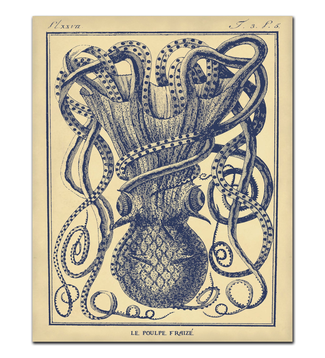 Kraken Octopus Print With Tangled Tentacles Print or Poster From a ...