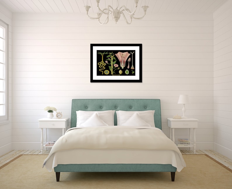 Botanical Art Print Cottage Core Wall Art Botanical Poster - Etsy