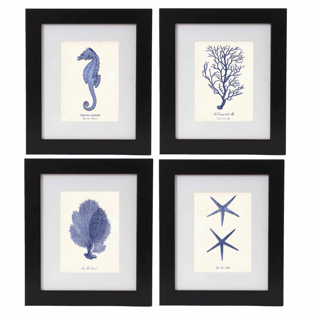 Sea Life Art Print Set With A Seahorse, Starfish & Coral Prints - Etsy