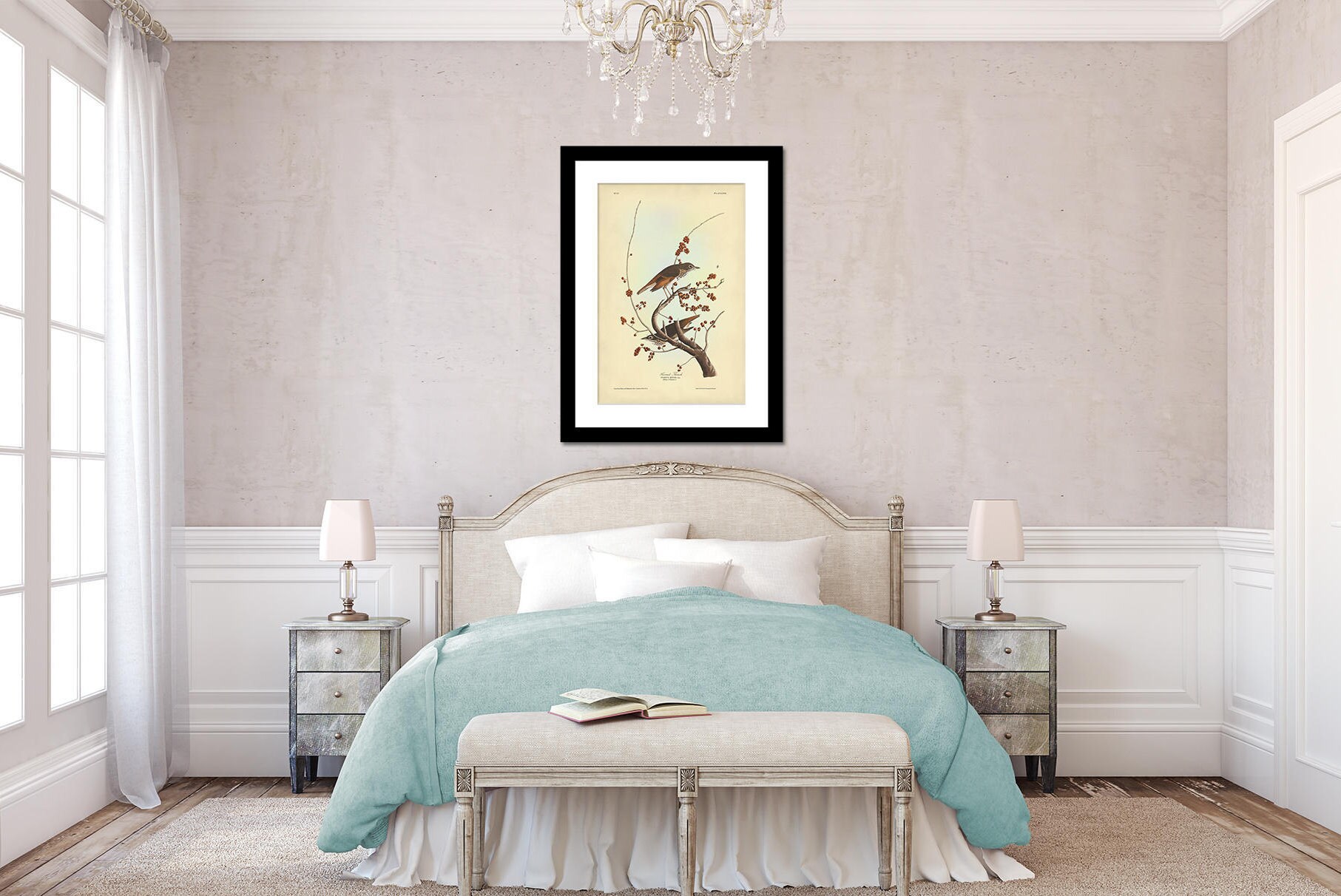 Hermit Thrush Art Print Bird Poster Hermit Thrush Botanical - Etsy