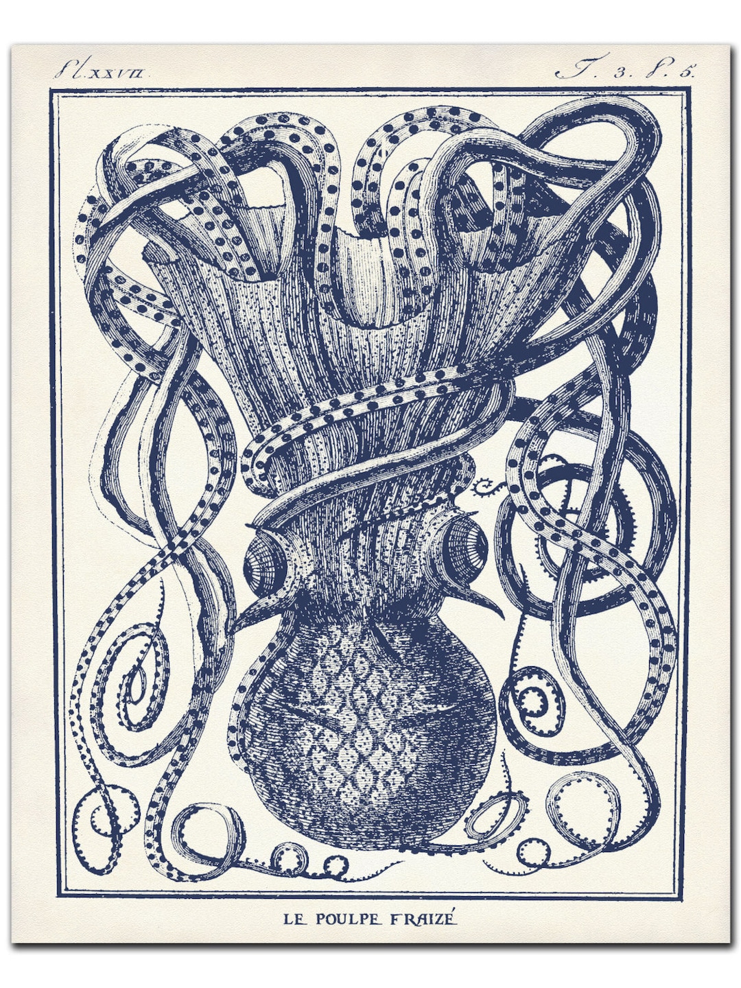 Kraken Octopus Print With Tangled Tentacles Print or Poster From a ...
