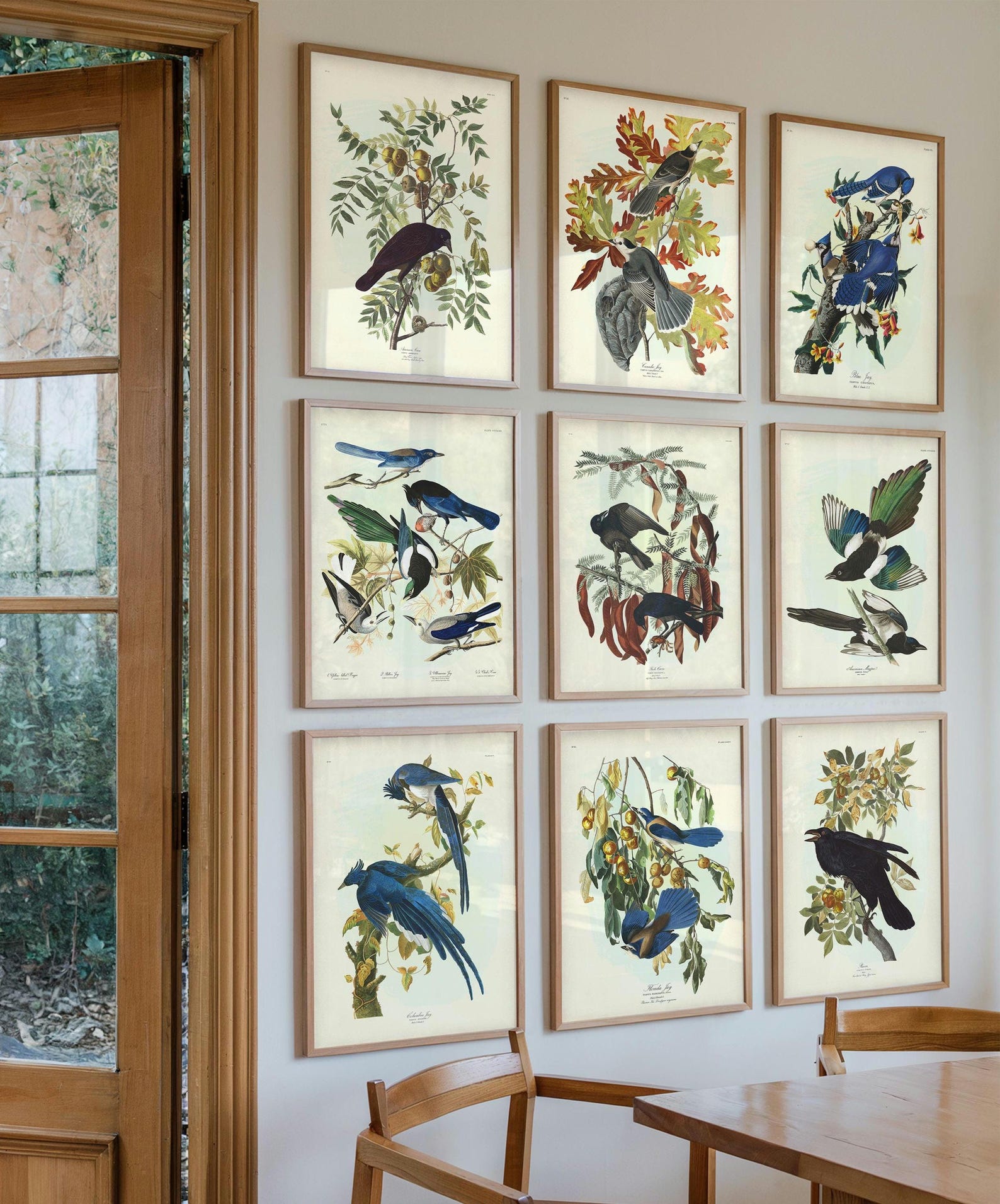 Audubon Birds of America Corvids Art Print Set, Bird and Botanical ...