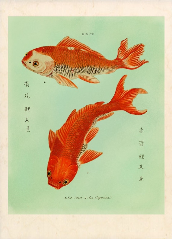 Two Fish In Love