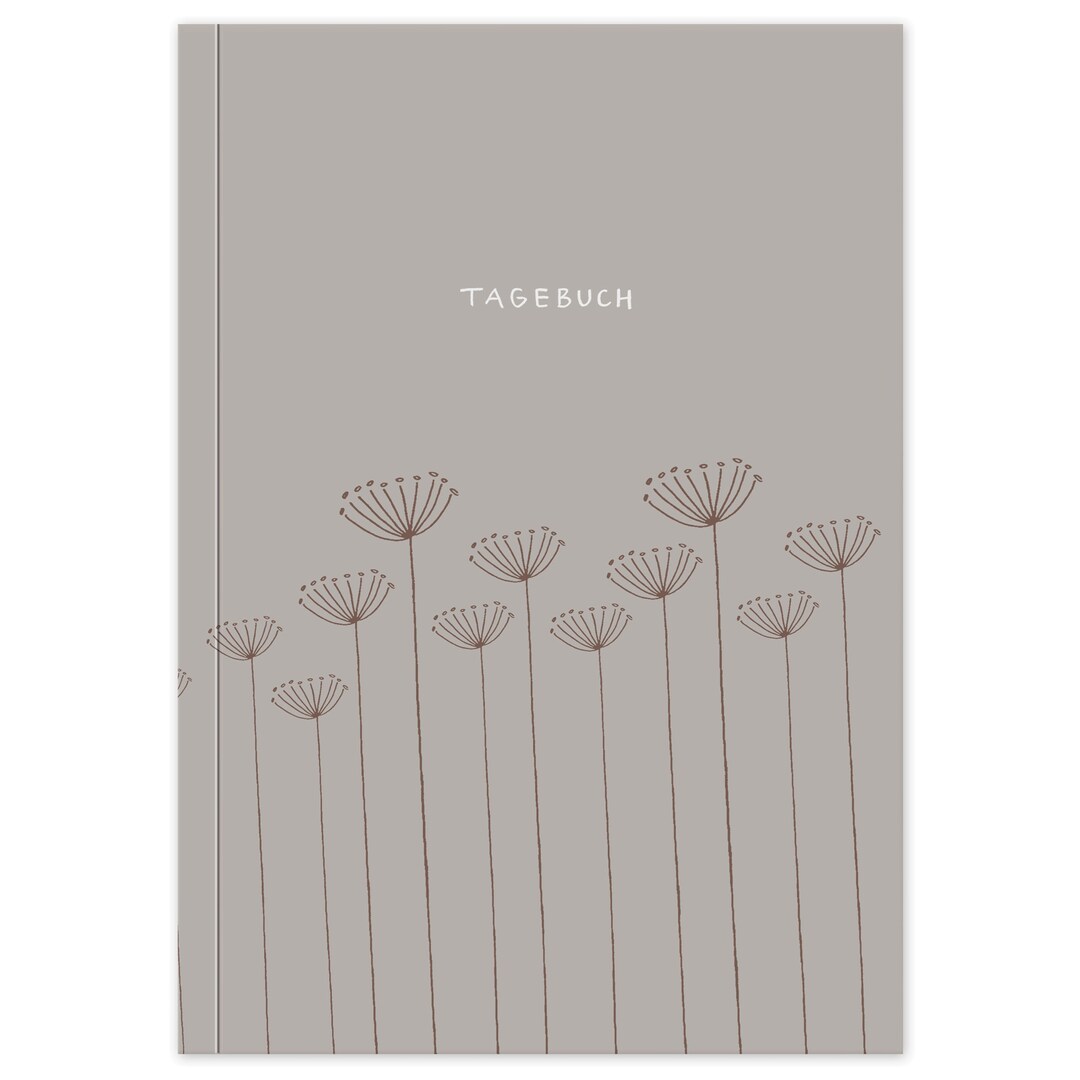 Dear Diary - Lined Notebook for Adults, Girls & Teenagers | 92 Pages ...