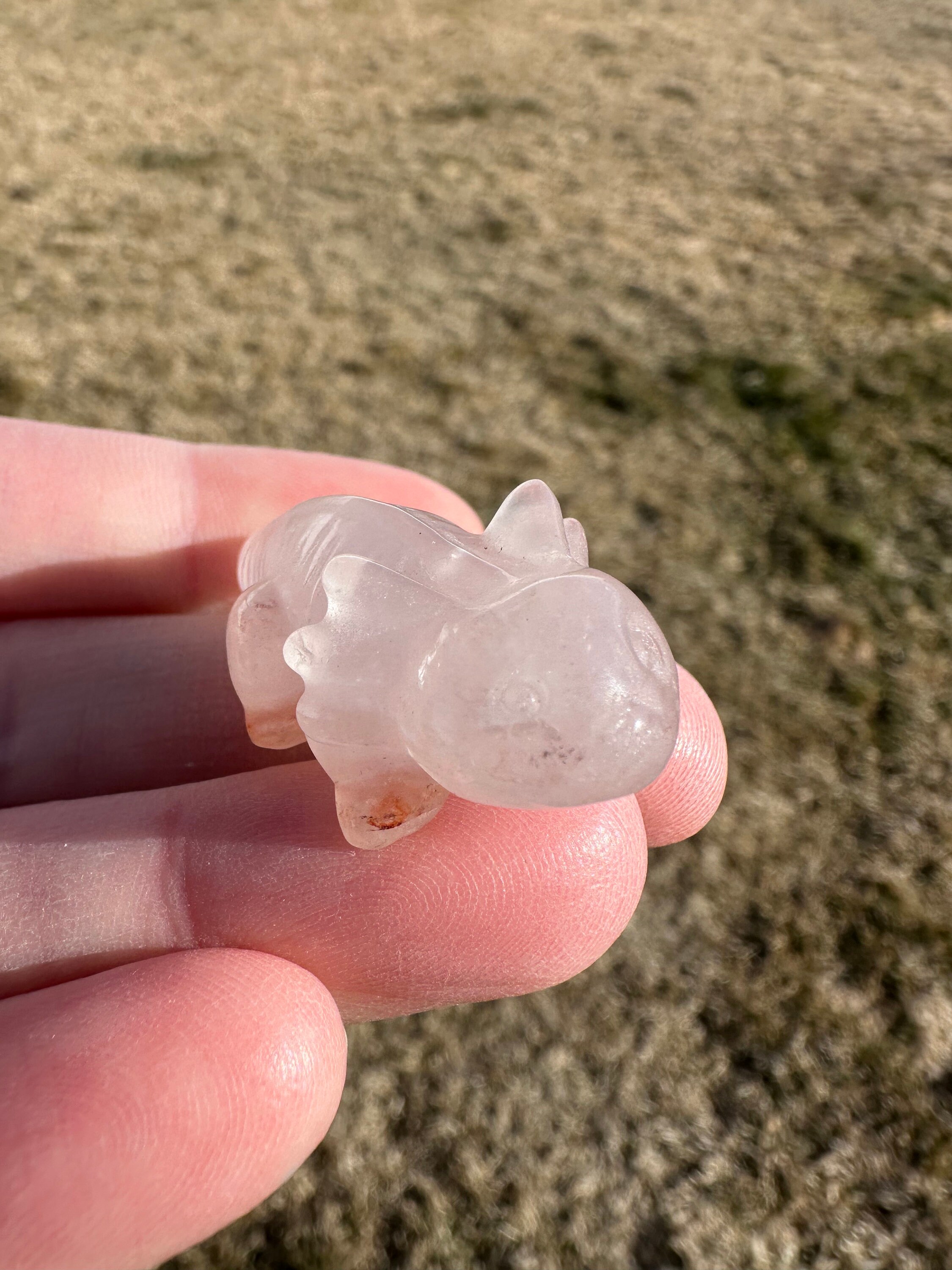 Small Crystal Axolotl Salamander Carving - Etsy