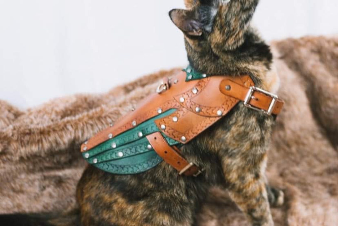 Maeve Leather Cat Armor, Harness - Etsy