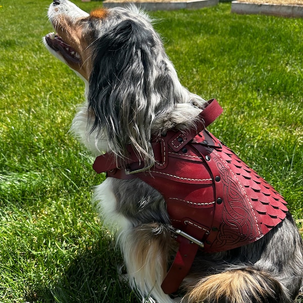 Medieval Dog Armor - Etsy
