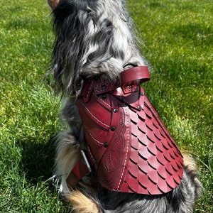 Ulf Leather Dog Harness Armor - Etsy