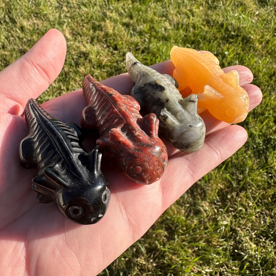 Axolotl Salamander Fish Crystal Carving - Etsy
