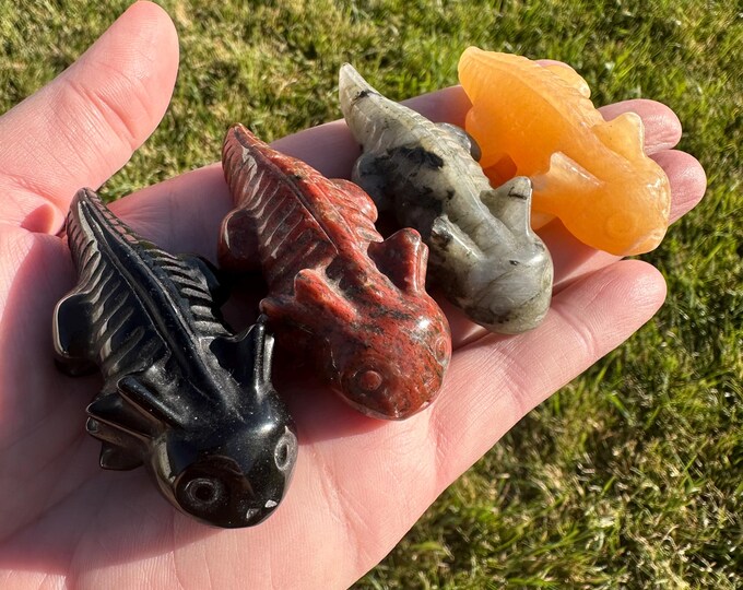 Axolotl Salamander Fish Crystal Carving - Etsy