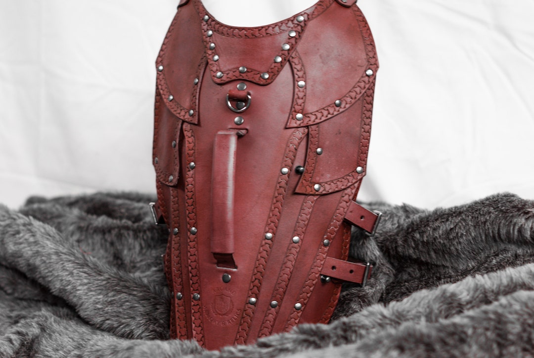 PATTERN! for Maeve Leather Dog Armor - Etsy
