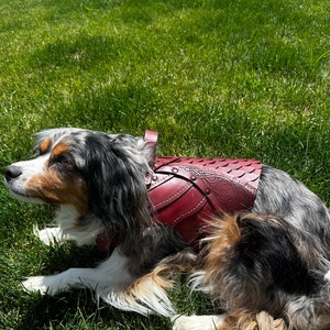 Ulf Leather Dog Harness Armor - Etsy