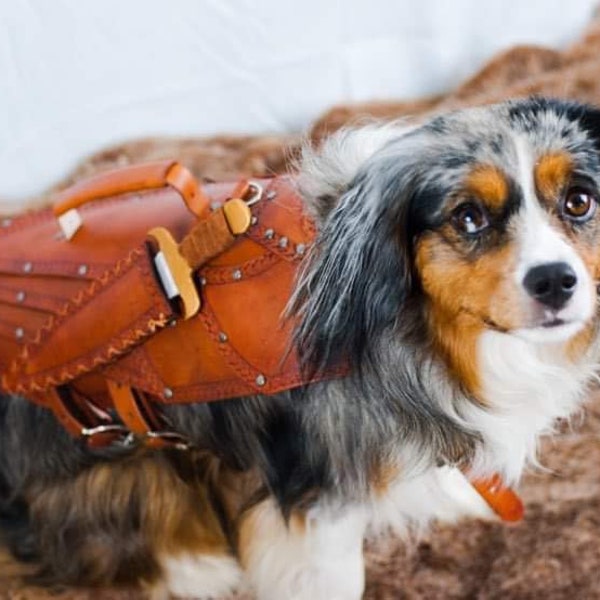 Buy Leather Armor - Etsy