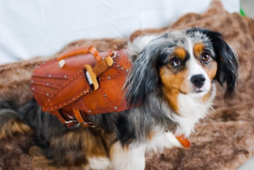 How Do You Craft Mastiff Armor