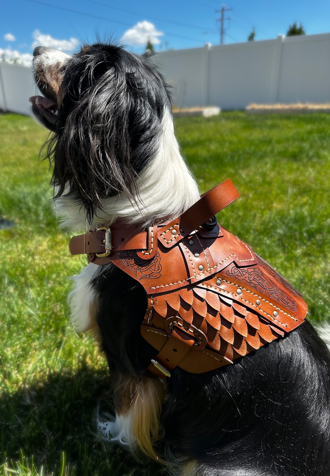 Frigga Leather Dog Harness Armor - Etsy