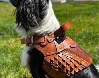 Heimdall Leather Dog Harness Armor - Etsy