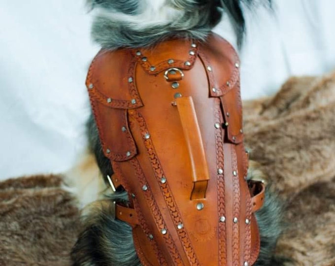 Heimdall Leather Dog Harness Armor - Etsy