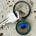 Peacock Keychain, Key Chain, Key Ring, Key Fob, Peacock Keychain ...